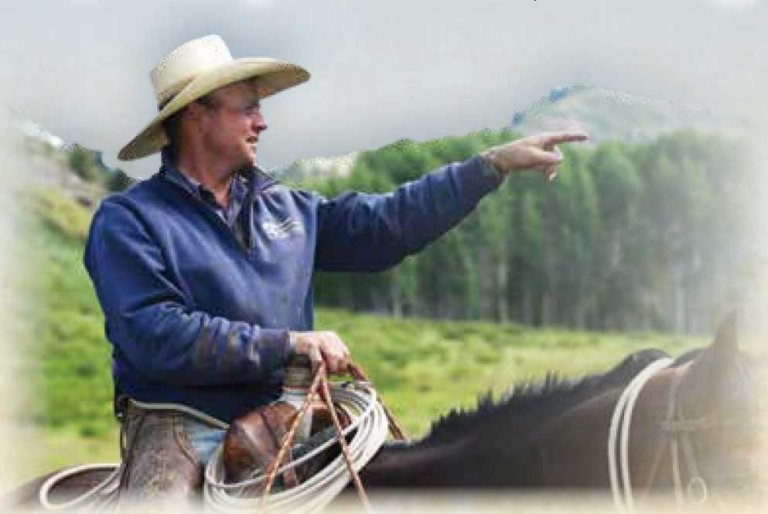Customer Testimonials - Leachman Cattle