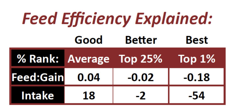 Feed Efficiency Explained - Leachman Cattle