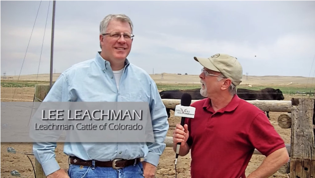Why use EPDs? - Leachman Cattle